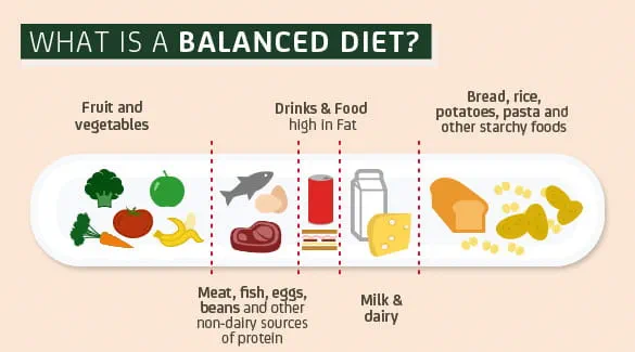 What is a balanced diet?