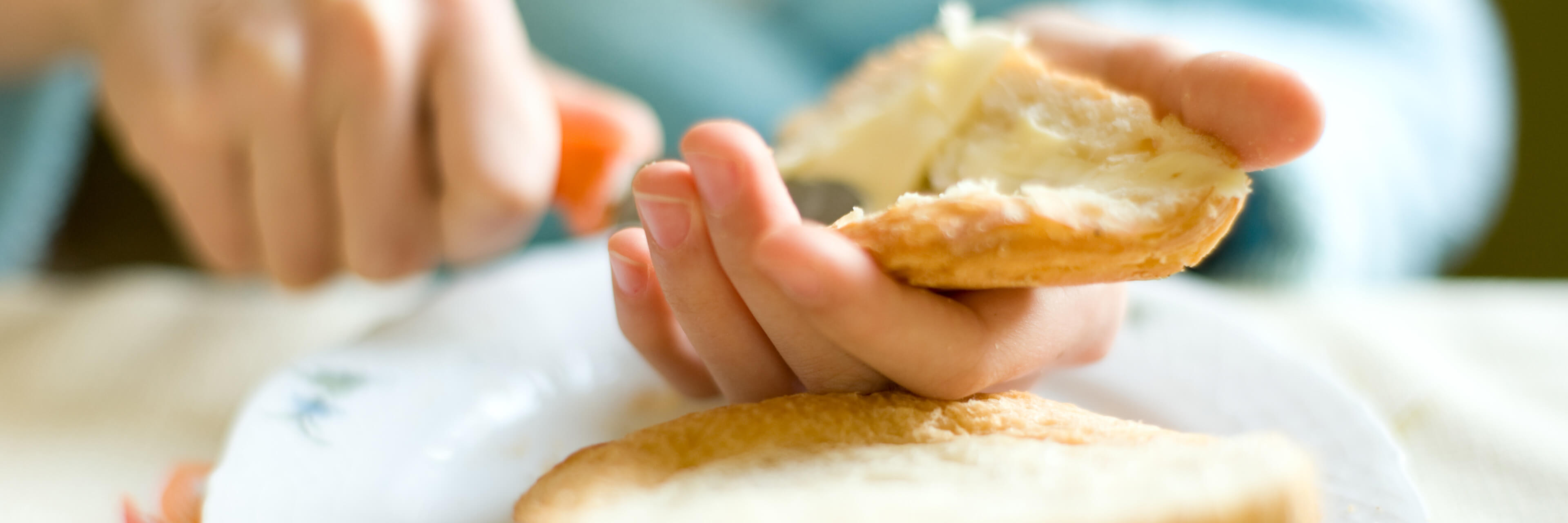 Statins and Plant Sterols