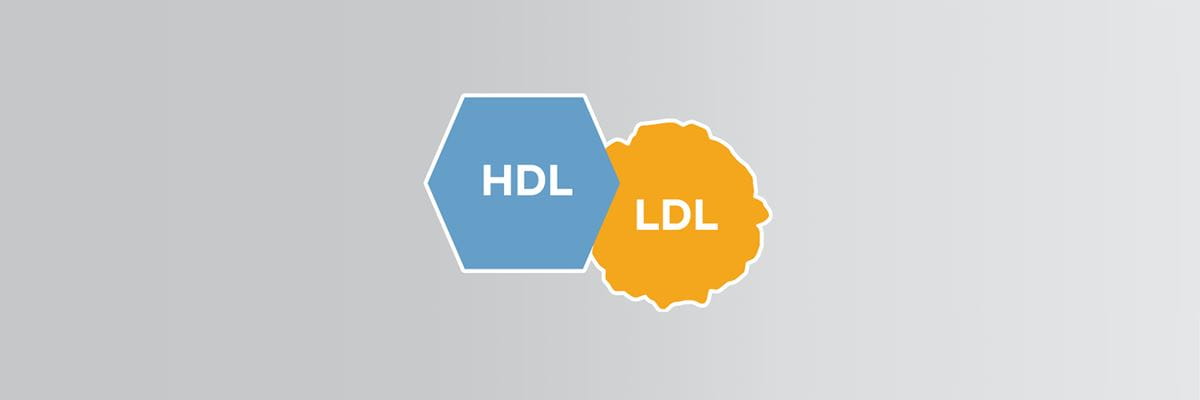 HDL-kolesteroli ja LDL-kolesteroli