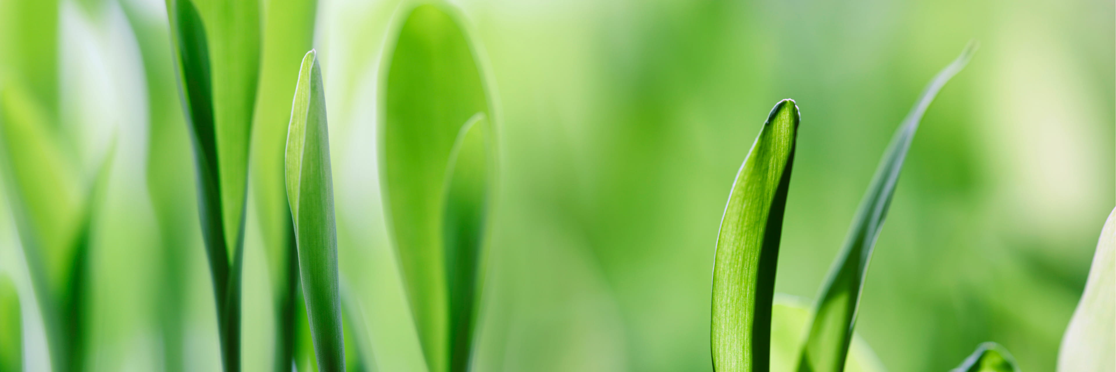 Waaier met informatie over cholesterol - Becel ProActiv | ProActiv